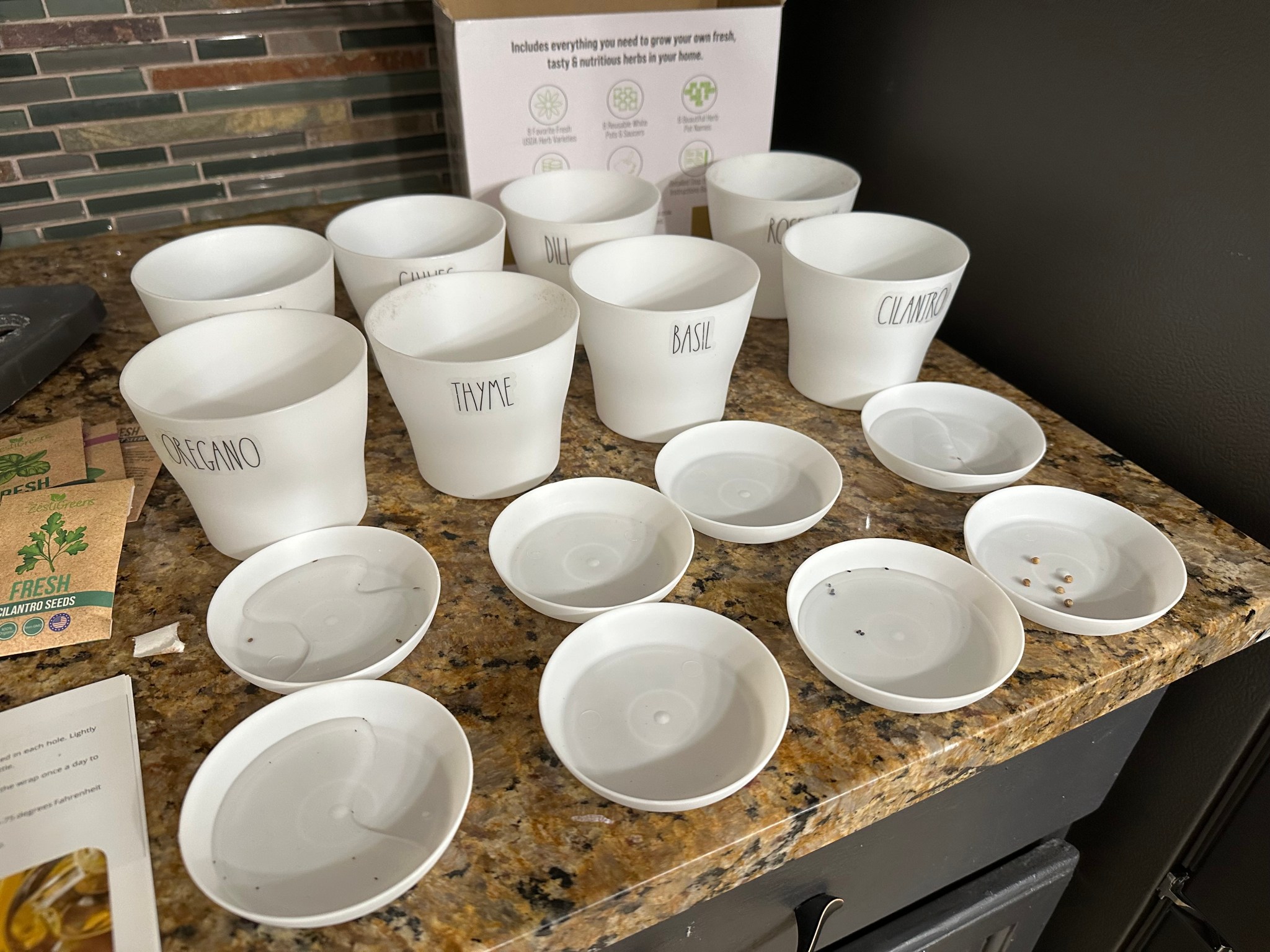 Dispatches from the Castle - From Seedlings to Growing Herbs: A Week in ...